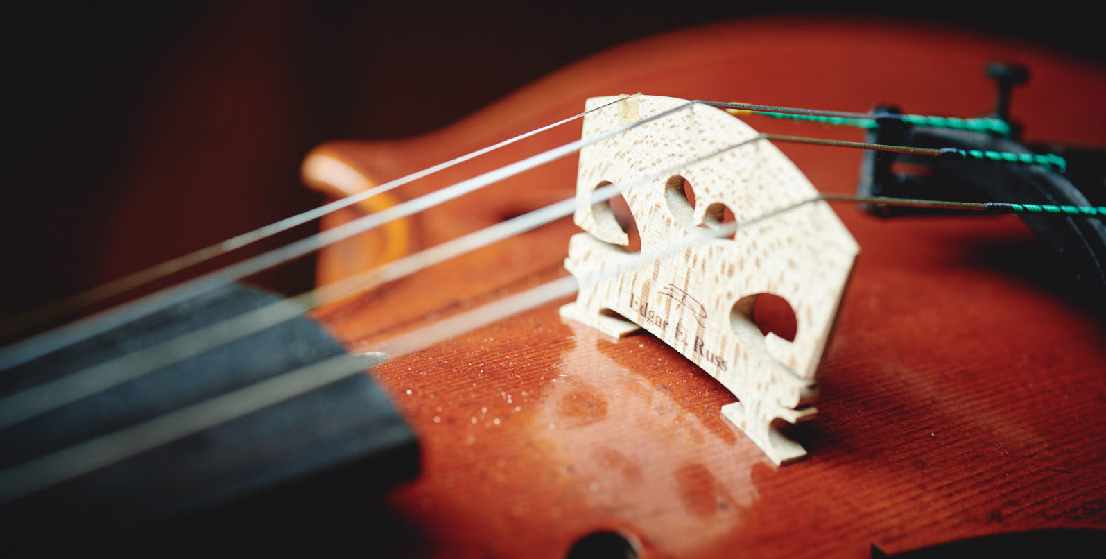 String Slots on the Bridge, a detail worth looking at!