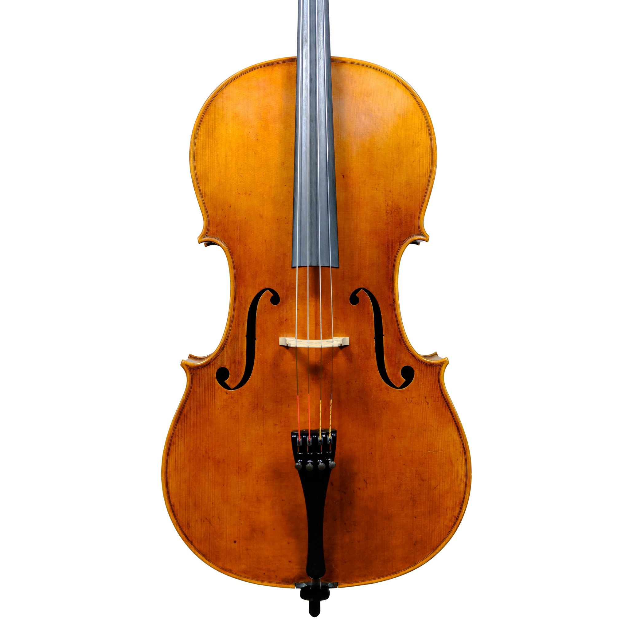Cello - Enrico Bertoncini, Cremona