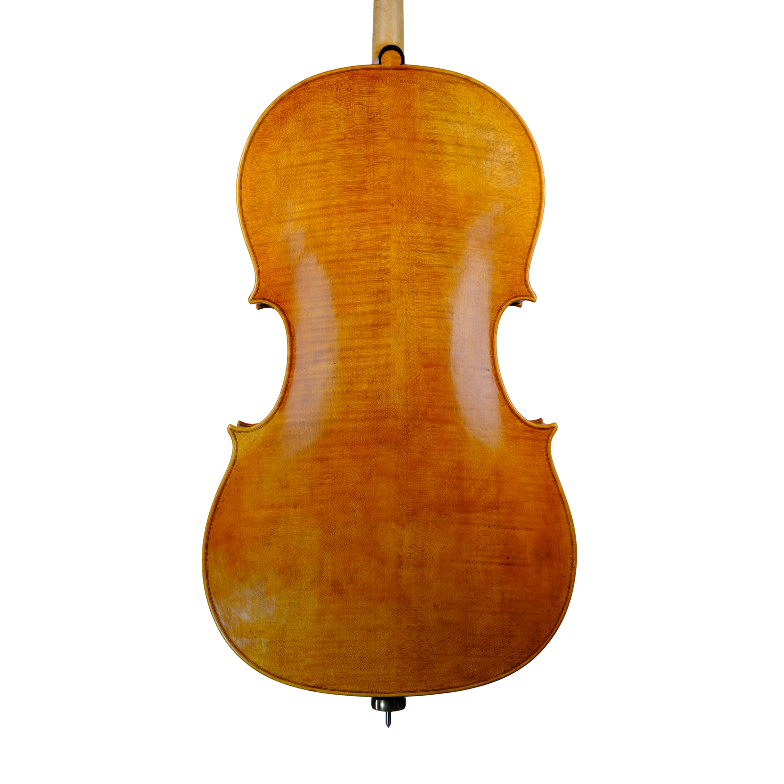 Cello - Mina Mazzolari, Francesco Ruggieri, Cremona 2021